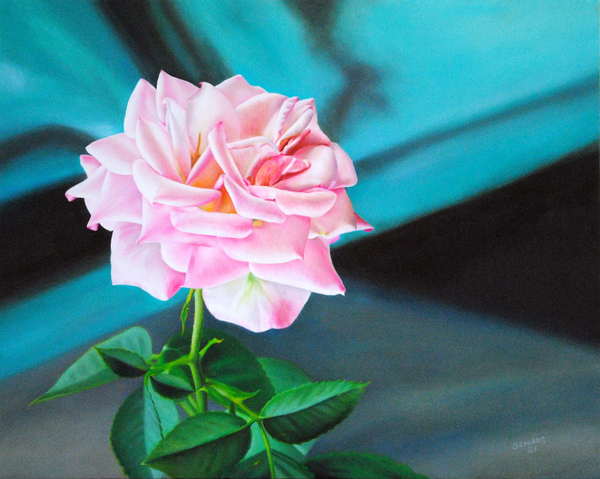 2021 Tallahassee Senior Artist Showcase – Tallahassee Senior Center ...